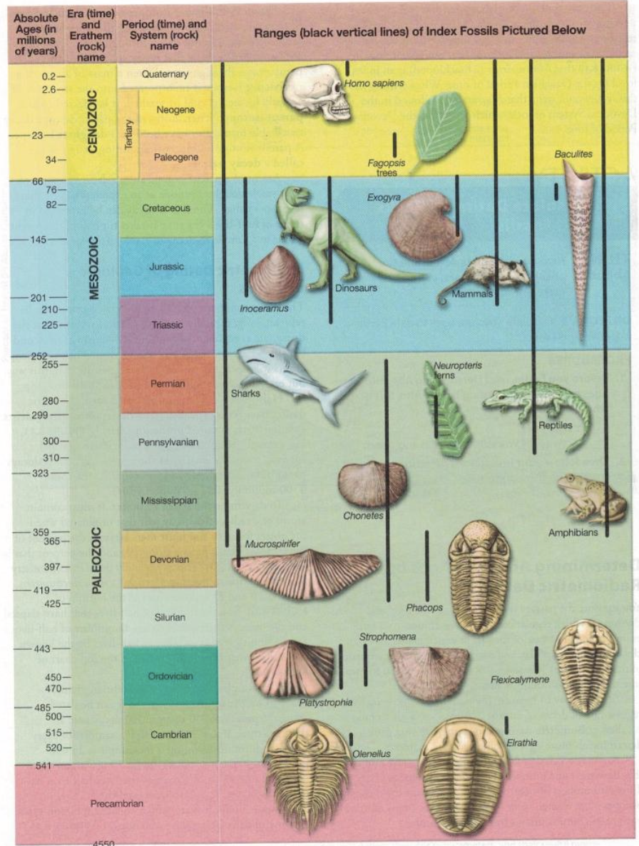Solved Below are two stratigraphic columns from locations A | Chegg.com