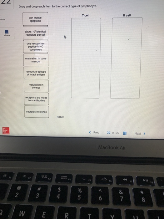 Solved ?? Drag and drop each item to the correct type of | Chegg.com