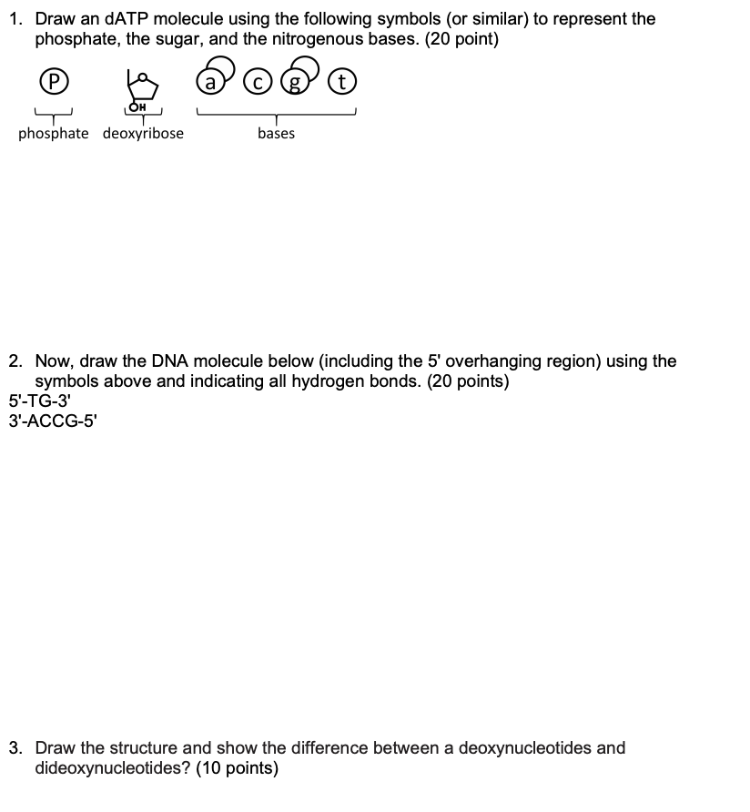 Solved 1. Draw an dATP molecule using the following symbols | Chegg.com