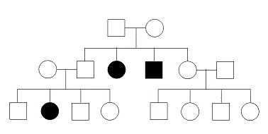 Solved Q1.) Which statement is most accurate for the trait | Chegg.com