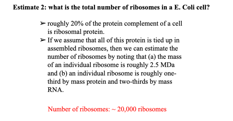 Solved Estimate 2: what is the total number of ribosomes in | Chegg.com