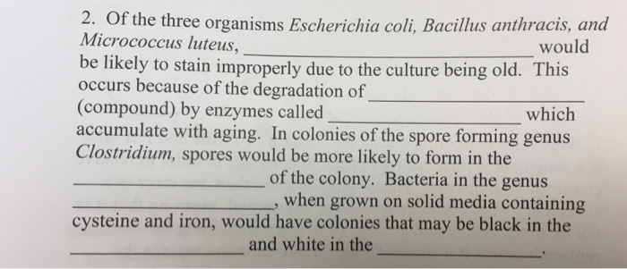 Solved Of the three organisms Escherichia coli, Bacillus | Chegg.com