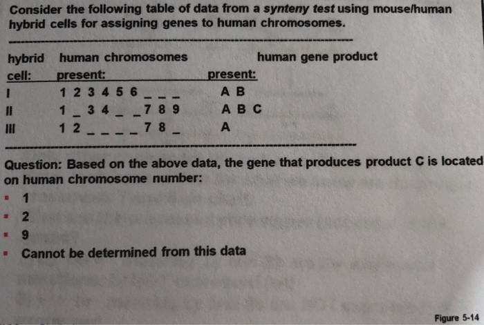 Solved Consider the following table of data from a synteny | Chegg.com