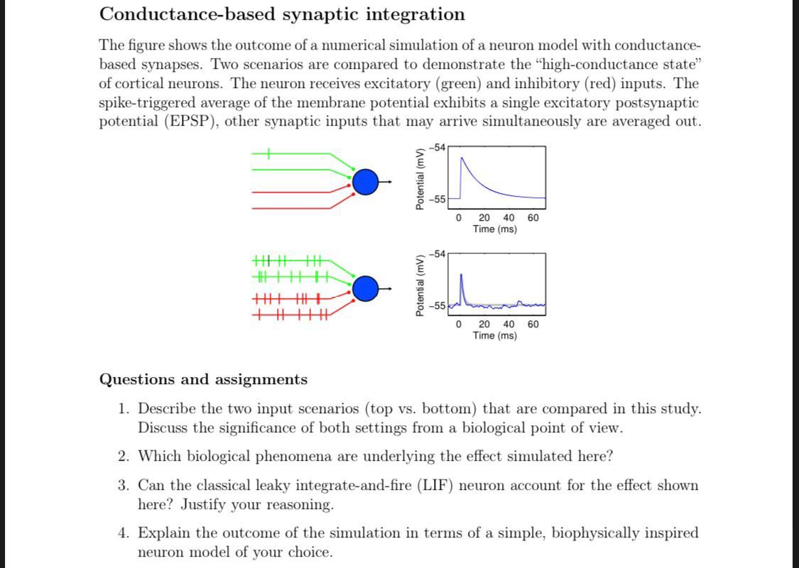 Conductance-based synaptic integration The figure | Chegg.com