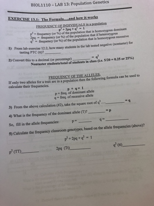 Solved BIOL1110 LAB 13: Population Genetics EXERCISE 13.1: | Chegg.com