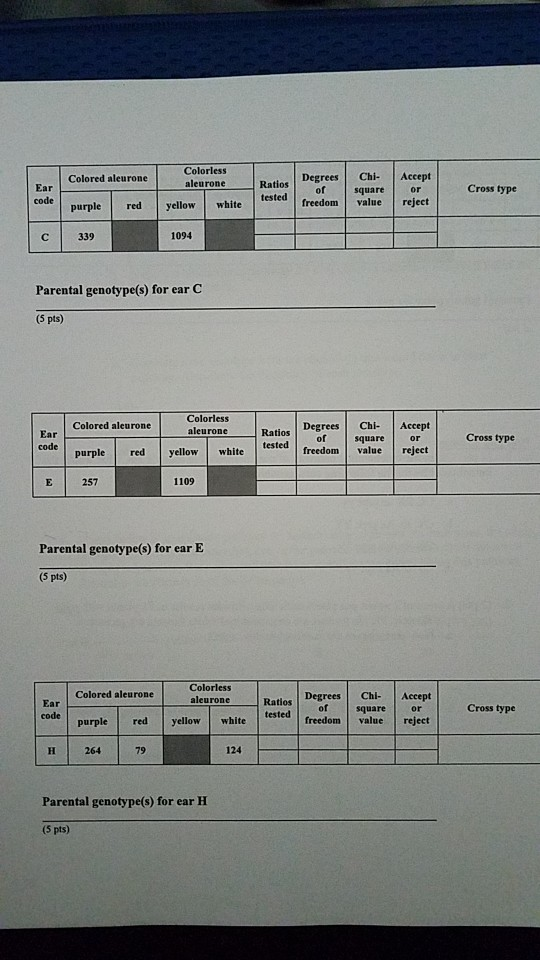 Solved Colored aleurone Colorless ale rose Ear Ratios tested | Chegg.com