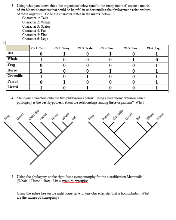Solved 3. Using what you know about the organisms below | Chegg.com