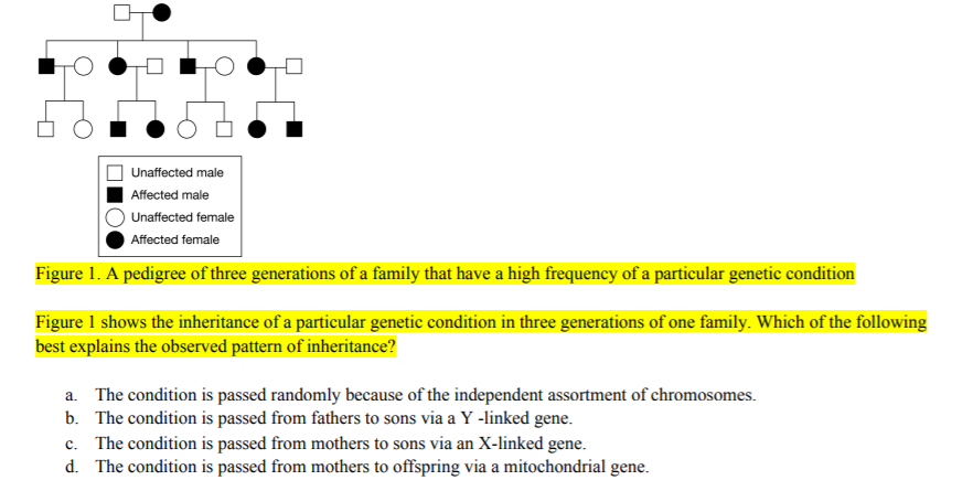 Solved Unaffected male Affected male Unaffected female | Chegg.com