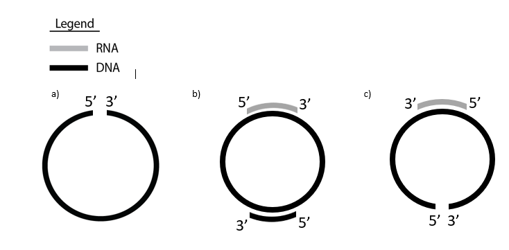 Solved Question 2: (10 marks) Using your knowledge of the | Chegg.com