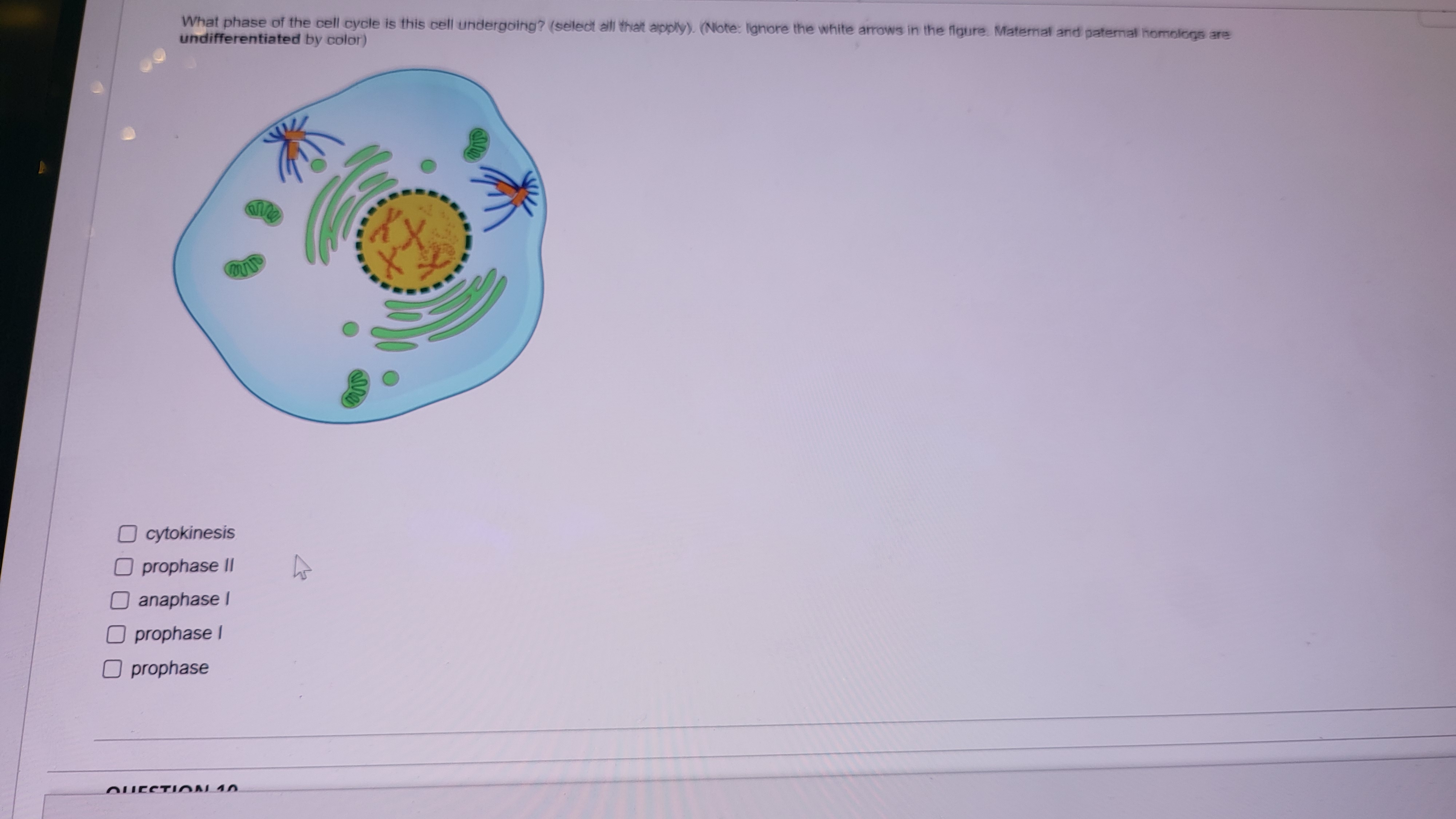 Solved What phase of the cell cycle is this cell undergoing? | Chegg.com