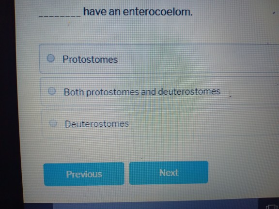 Solved have an enterocoelom. O Protostomes Both protostomes | Chegg.com
