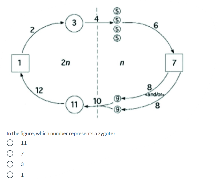 Solved This Chegg question about reading figures has two | Chegg.com