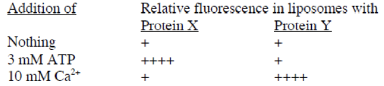 Solved You have identified two novel transmembrane proteins | Chegg.com