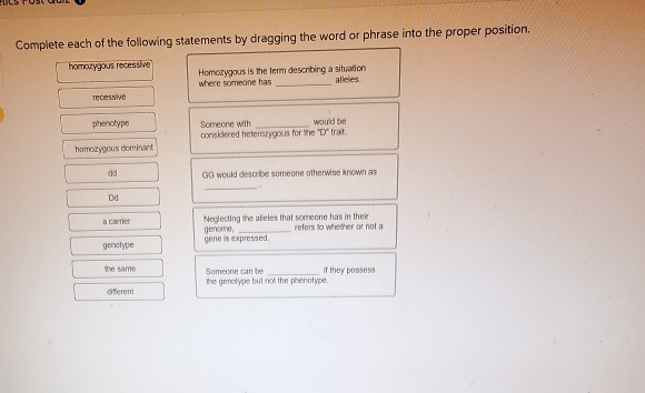 Solved Complete each statement by dragging a label into the | Chegg.com