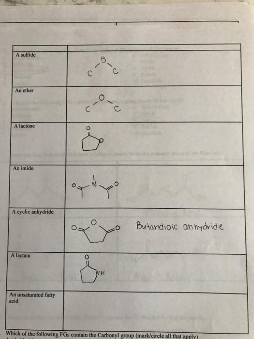Solved in your structure. Circle the branched alkyl groups | Chegg.com