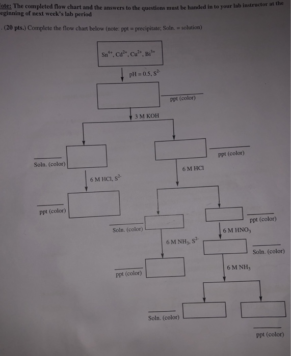 Solved lote: The completed flow chart and the answers to the | Chegg.com