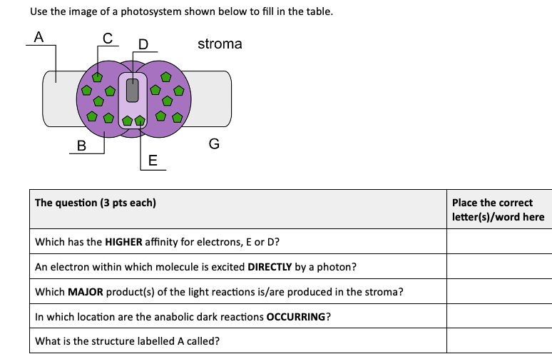 Solved Use the image of a photosystem shown below to fill in | Chegg.com
