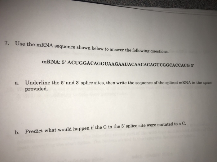 Solved 7 Use The Mrna Sequence Shown Below To Answer The 