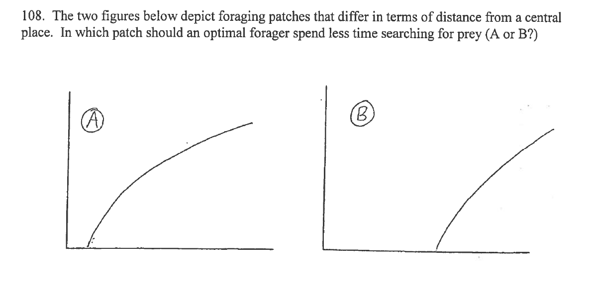 Solved 108. The two figures below depict foraging patches | Chegg.com