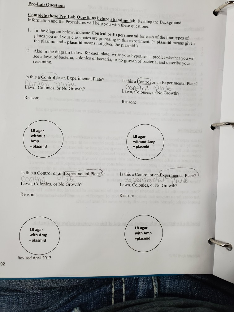 Solved Pre-Lab Questions Complete these Pre-Lab Questions | Chegg.com