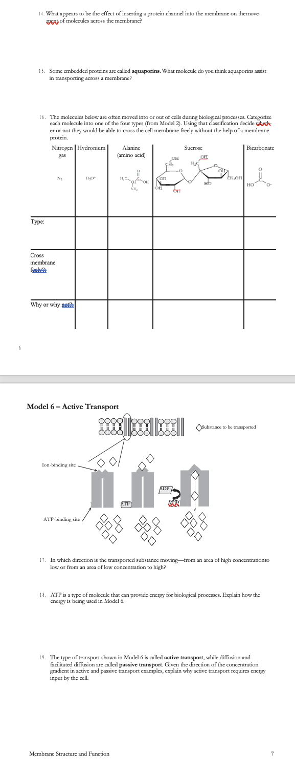 Solved The Selectively Permeable Cell Membrane How do | Chegg.com