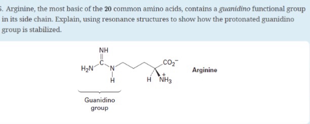 Solved . Arginine, the most basic of the 20 common amino | Chegg.com