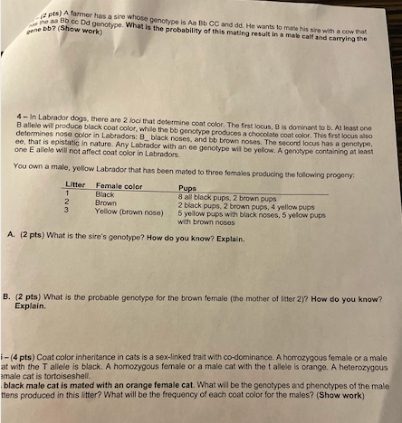 Solved 1- Multiple alleles that interact through epistatic | Chegg.com