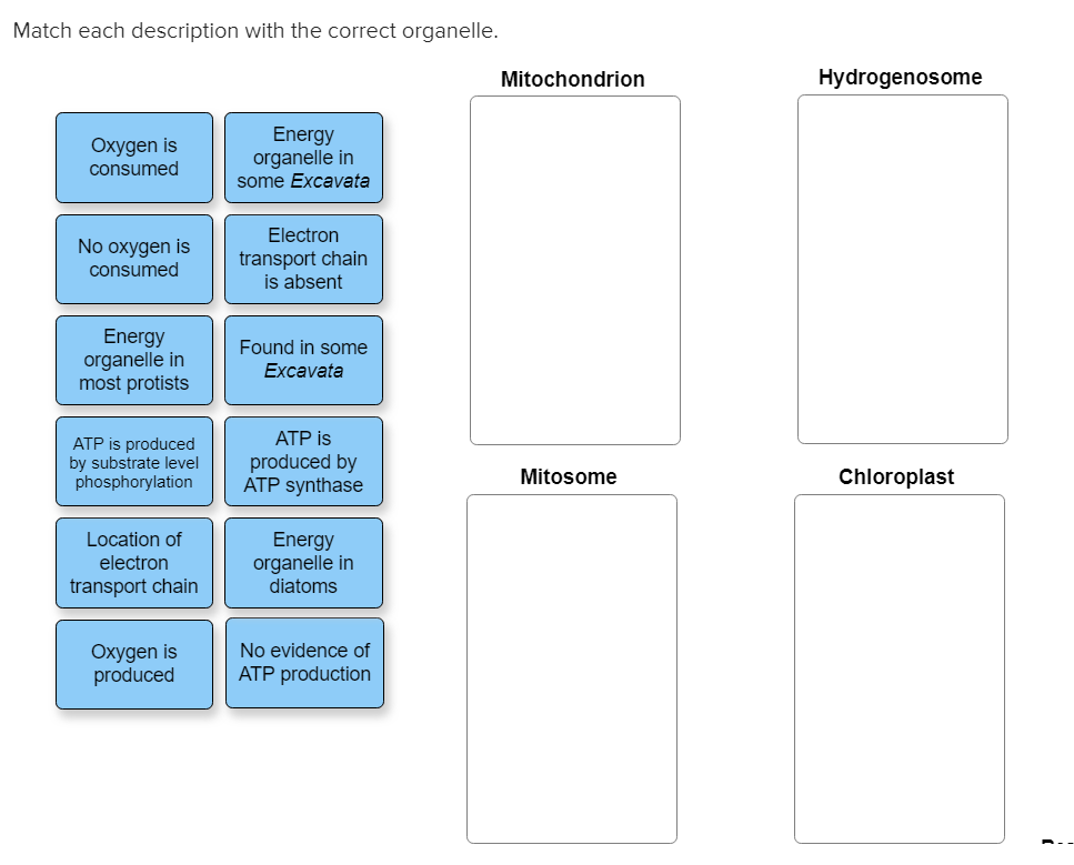 Solved Match each description with the correct organelle. | Chegg.com