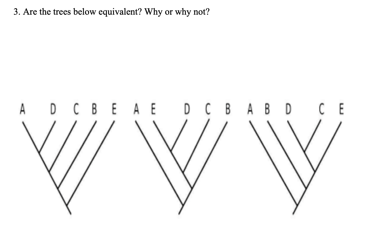 Solved are these tree equivalent? explain why or why not | Chegg.com