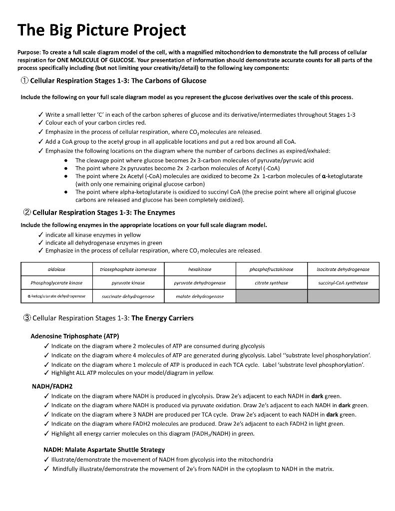 Solved The Big Picture Project Purpose: To create a full | Chegg.com