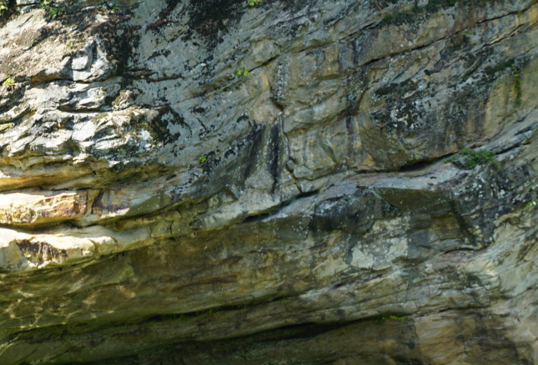 Solved Are the grains well sorted or poorly sorted? Are the | Chegg.com