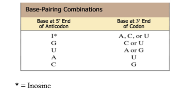 Solved 1) The wobble rules for tRNA – mRNA pairing are shown | Chegg.com