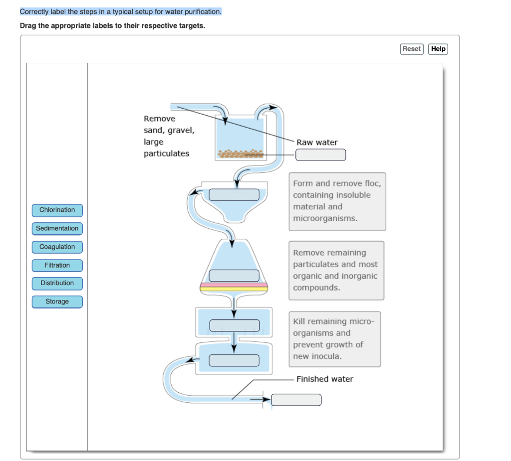 Solved Correctly label the steps in a typical setup for | Chegg.com