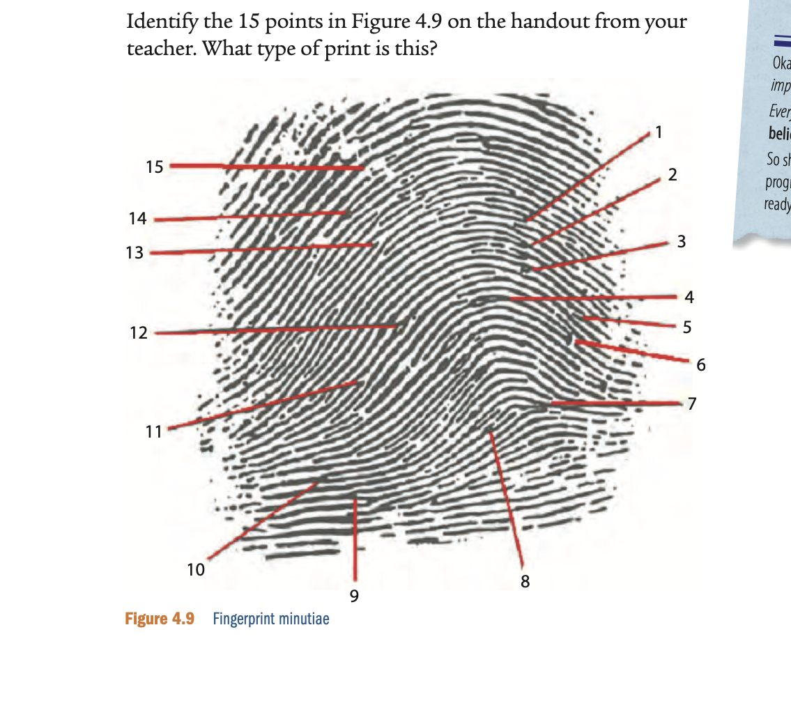 Identify the ridge characteristics numbered in | Chegg.com