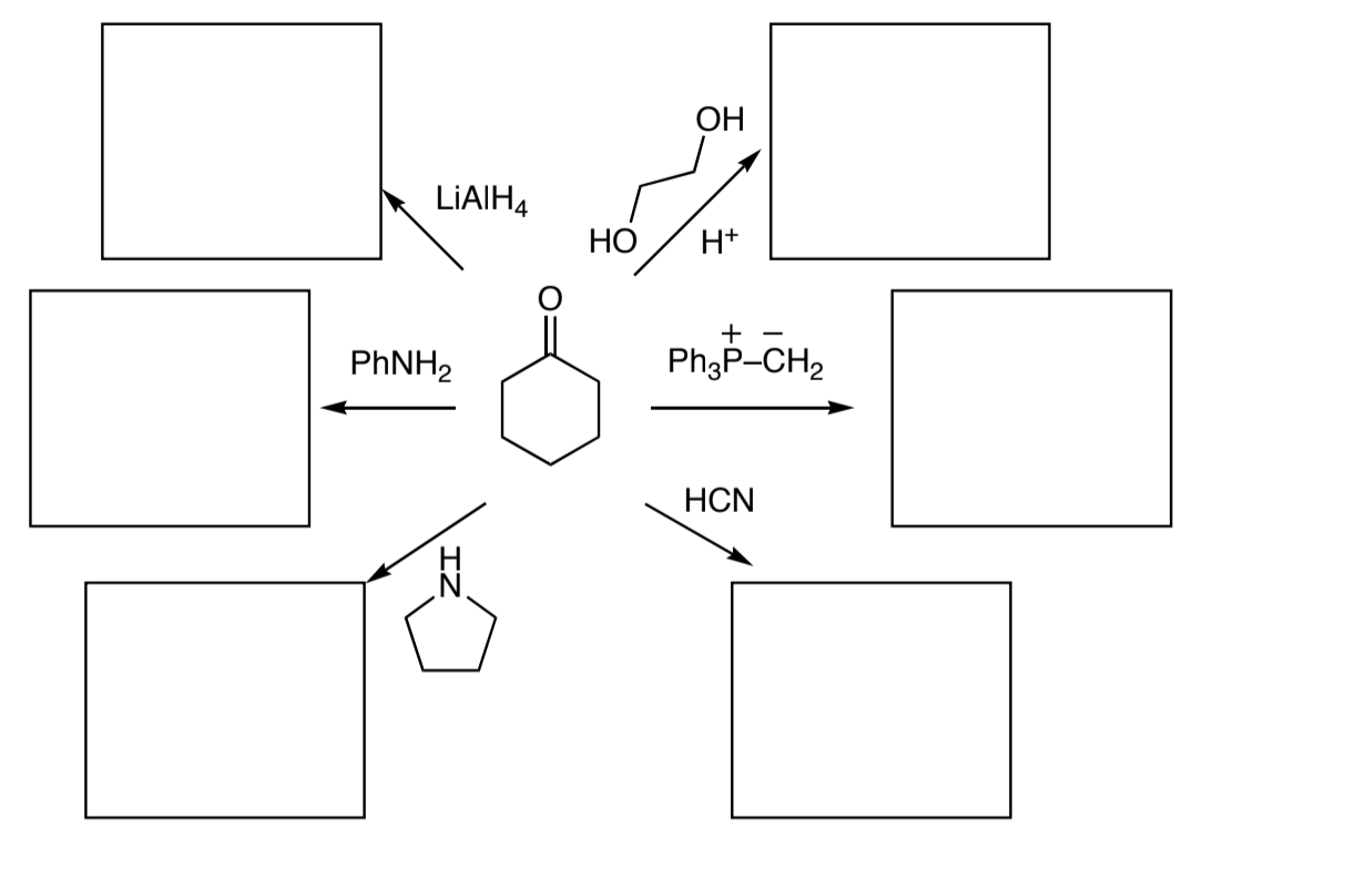 Solved ОН. LiAIH4 املی HO H+ + PhNH2 Ph3P-CH2 HCN | Chegg.com
