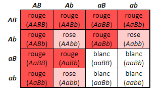 Solved In a study on the genetics of flower color, a | Chegg.com