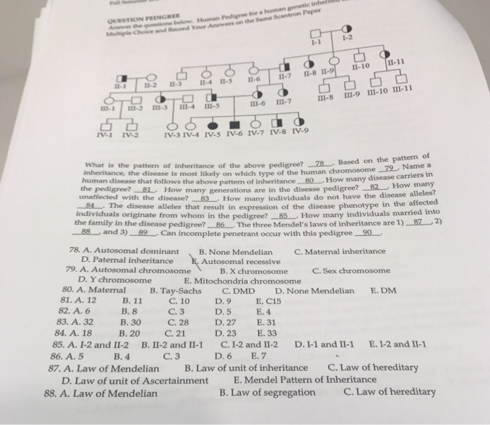 Solved What is the pattern of inheritance of the above | Chegg.com