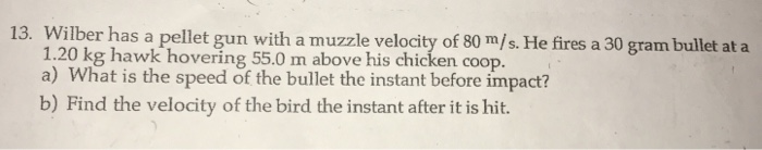 Solved Wilber has a pellet gun with a muzzle velocity of 80 | Chegg.com