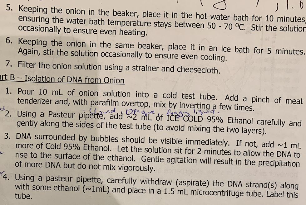 Solved 4. The DNA is resuspended in 10mM Tris-HCl pH 8.0 | Chegg.com