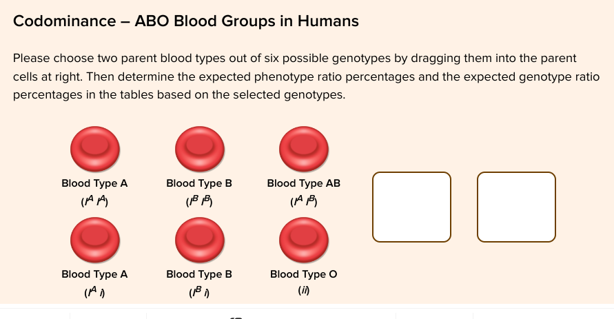 Solved Codominance - ABO Blood Groups in Humans Please | Chegg.com
