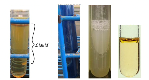 Solved An unknown bacterium was subcultured onto a TSA | Chegg.com