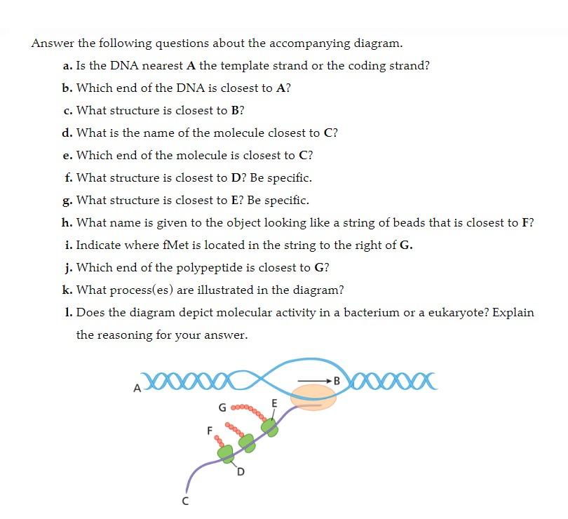 Solved Answer the following questions about the accompanying | Chegg.com