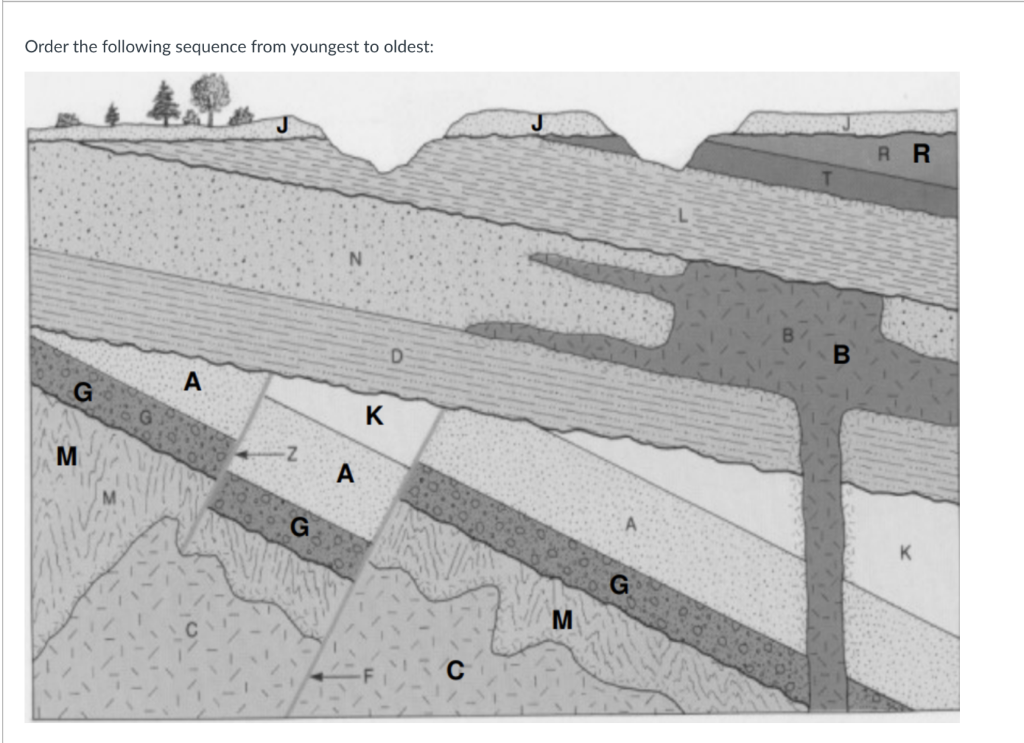 Solved Order the following sequence from youngest to oldest: | Chegg.com