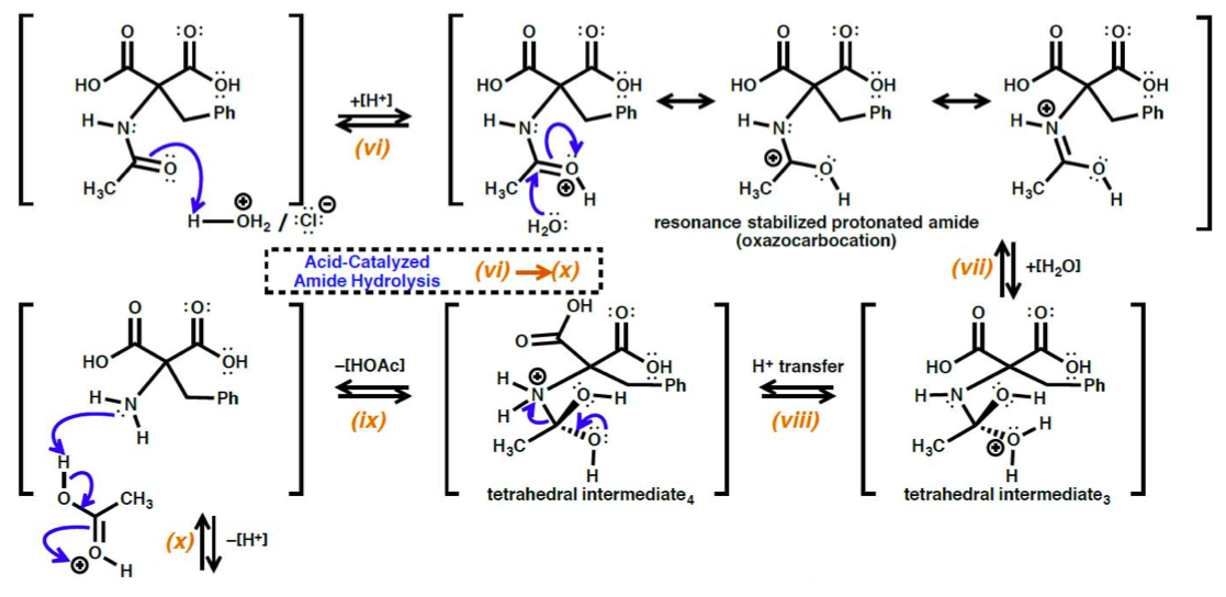 Solved 1. Please draw the overall SNAc hydrolysis and | Chegg.com