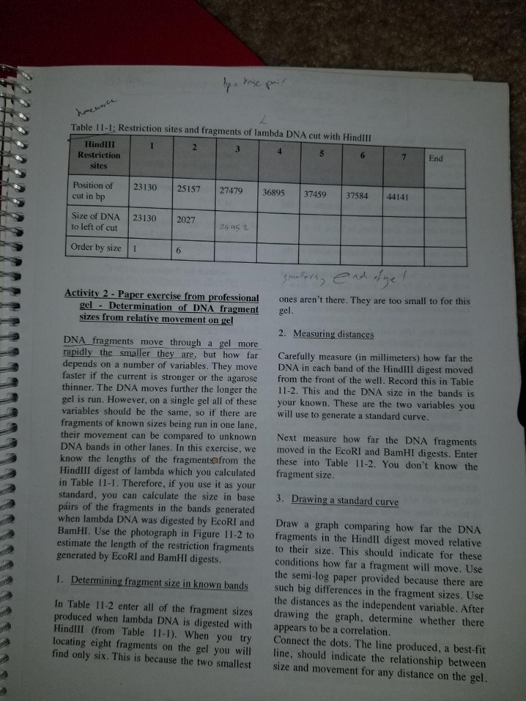 Solved I Had A Question About Restriction Sites And 9754