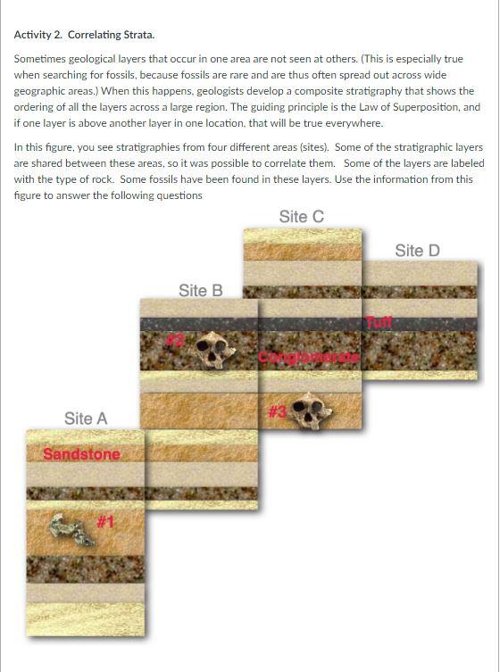 Solved Activity 2. Correlating Strata. Sometimes geological | Chegg.com
