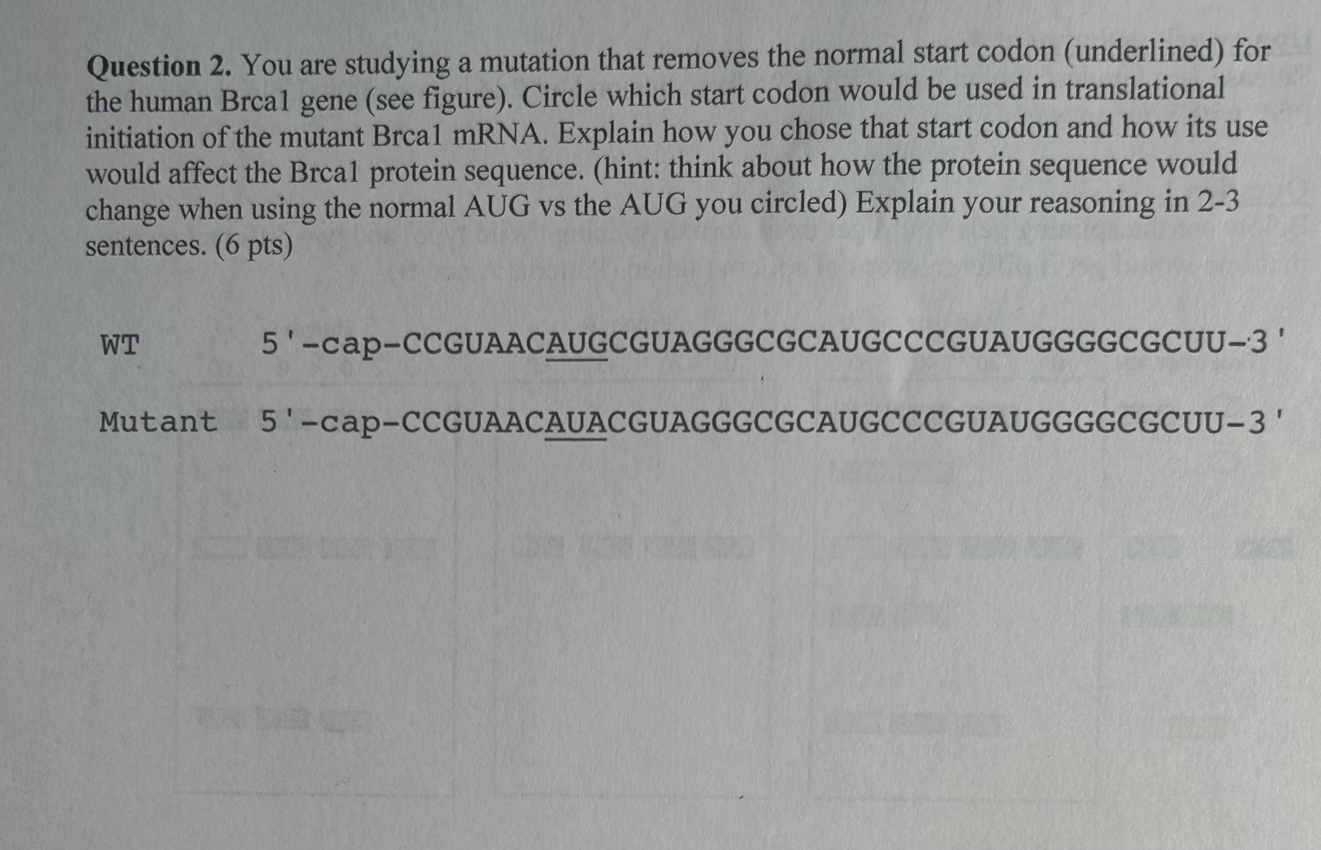 Solved Question 2. ﻿You are studying a mutation that removes | Chegg.com