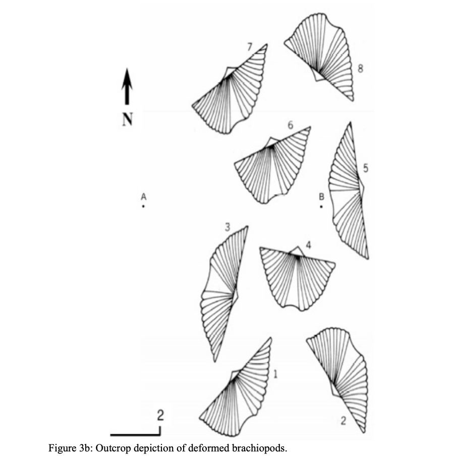 b) Measure the orientation of the deformed symmetry | Chegg.com