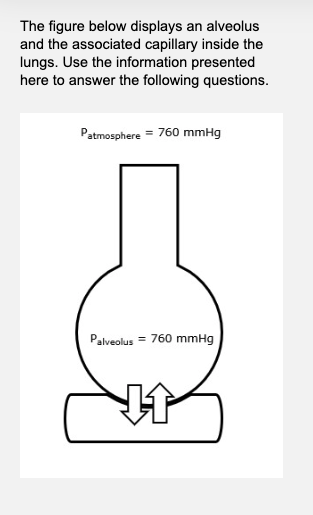 Solved a)What is the partial pressure of oxygen (PO2) inside | Chegg.com