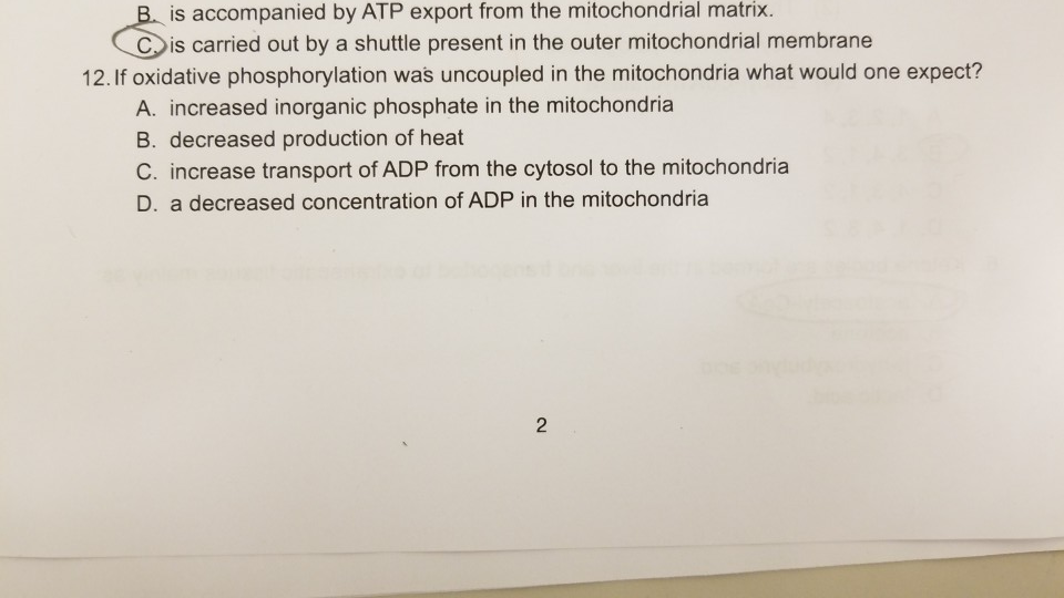 Solved is accompanied by ATP export from the mitochondrial | Chegg.com